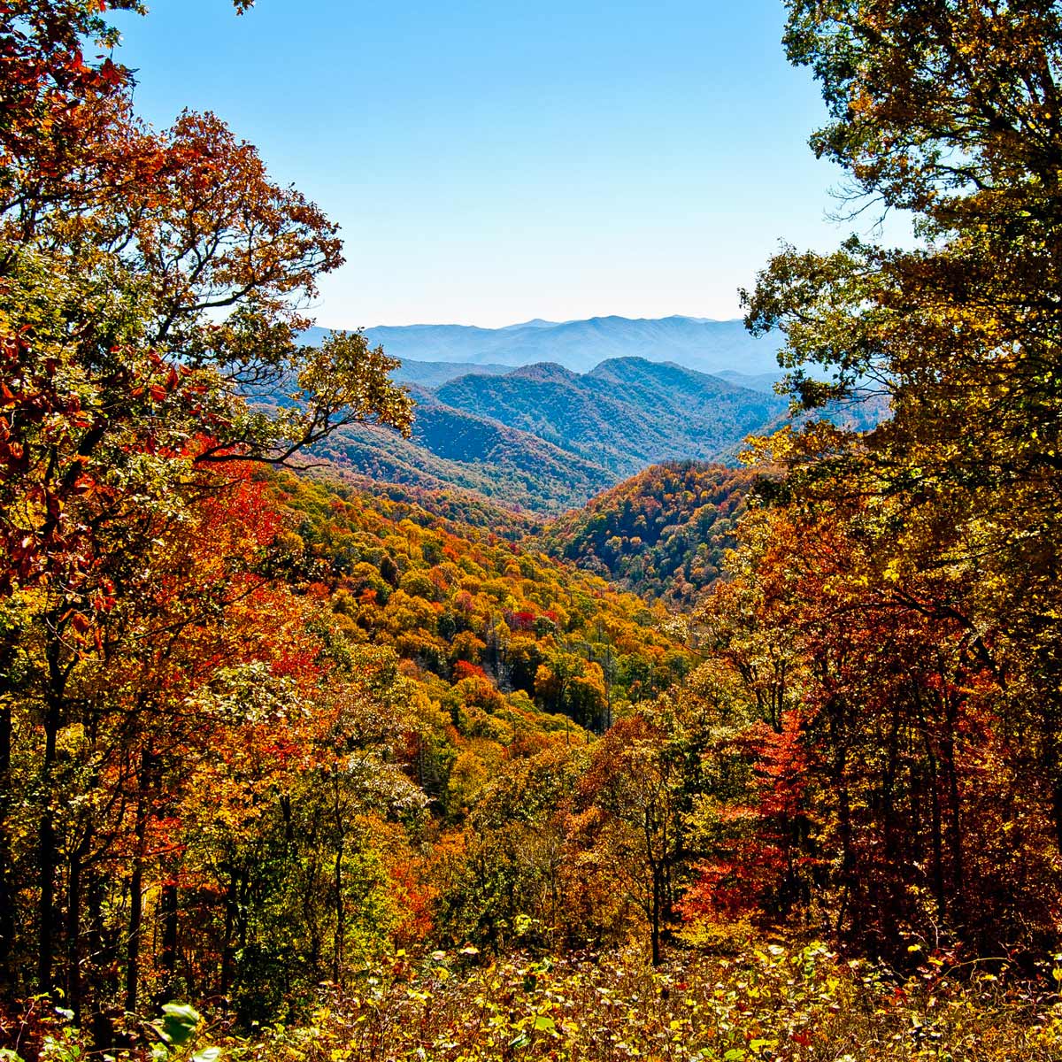 Top Ten Fall Activities - Fryemont Inn